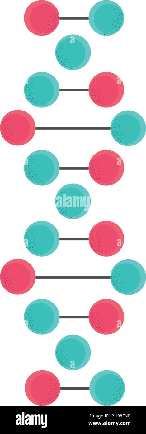 dna molecule structure Stock Vector Image & Art - Alamy