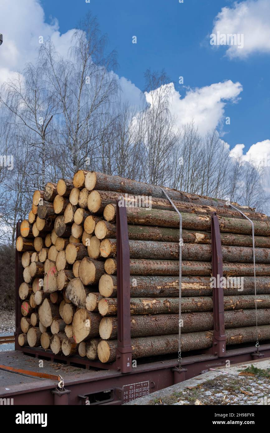 Transport of timber on railway wagons Stock Photo - Alamy