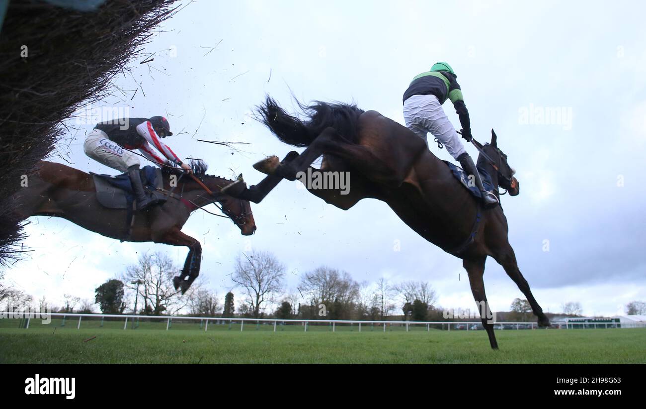 First flow horse hi-res stock photography and images - Alamy