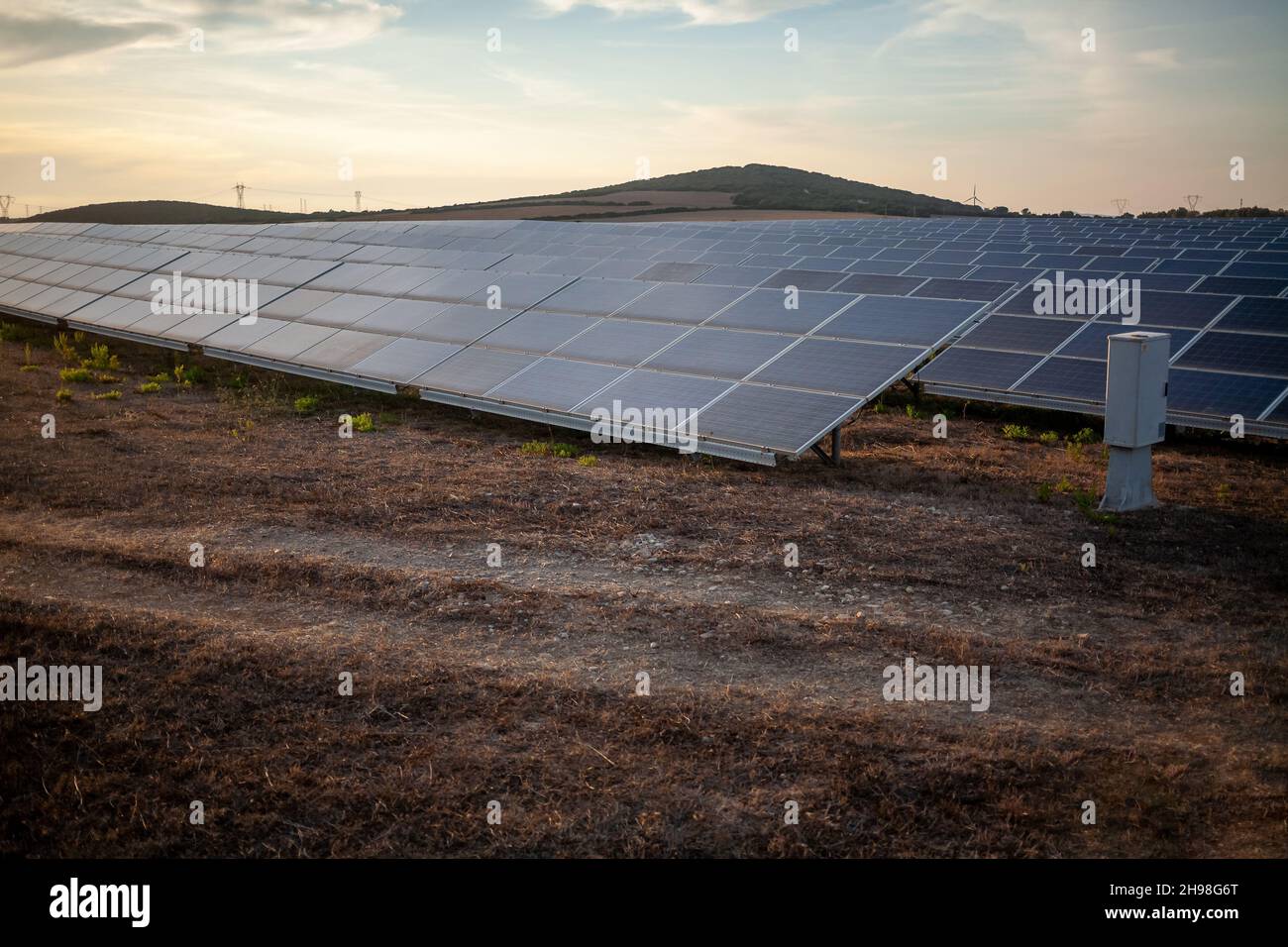 Solar farm, a large ground area with mounted solar panels Stock Photo ...