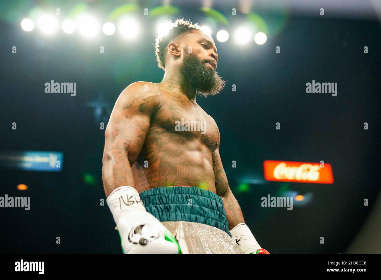 Mgm grand garden arena boxing hi-res stock photography and images - Alamy