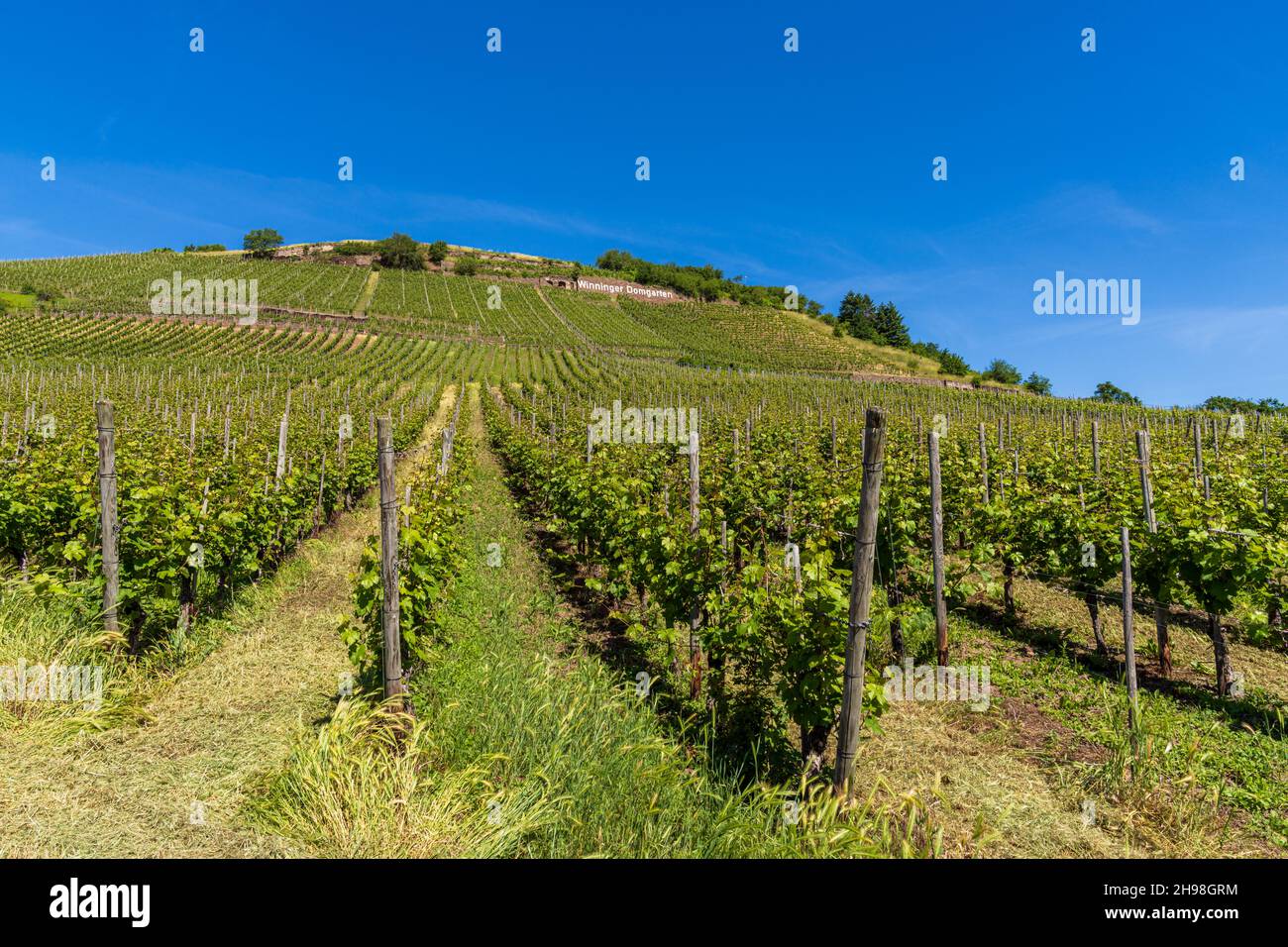 Winninger hi-res stock photography and images - Alamy