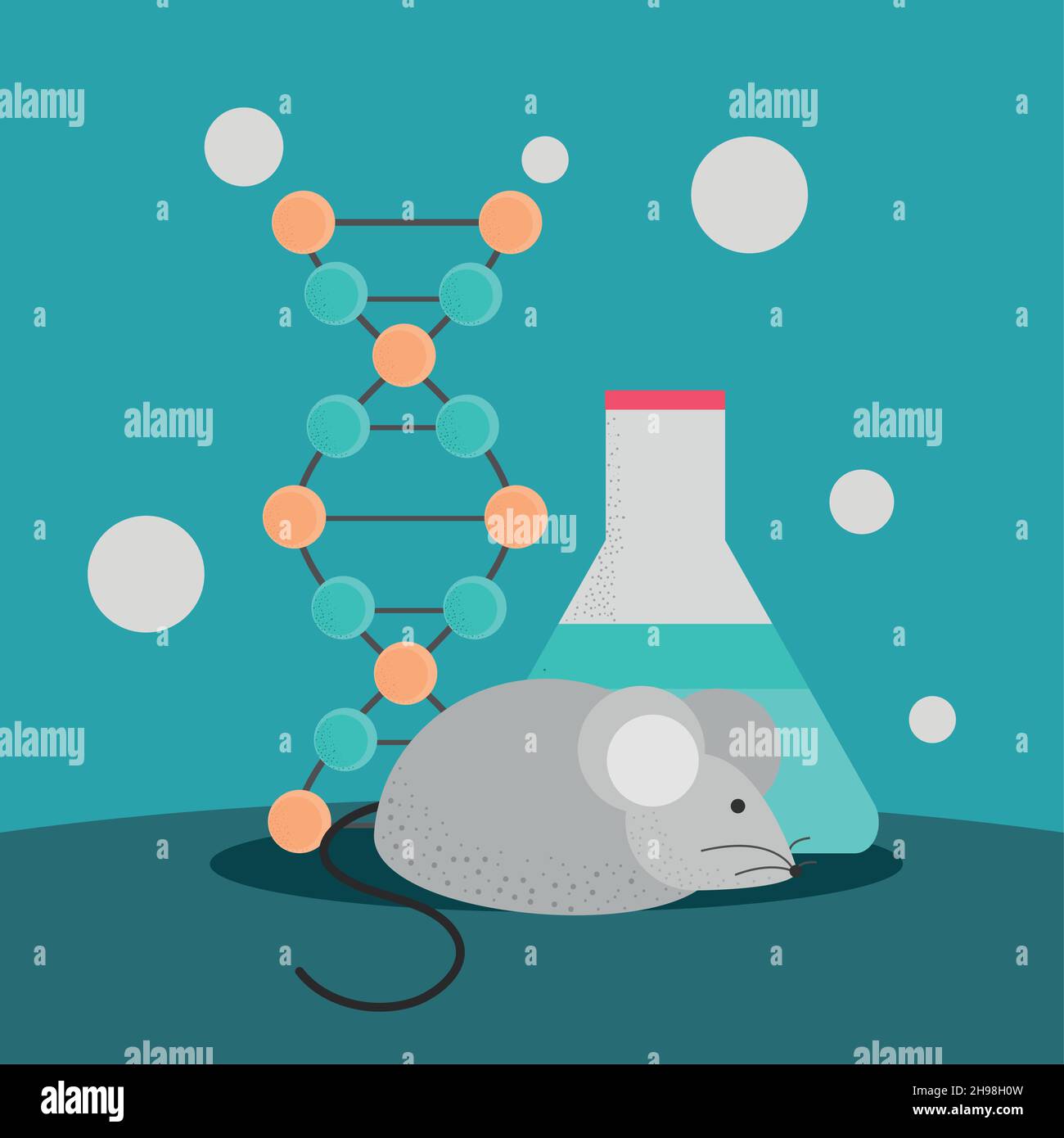 Mouse animal science Stock Vector Images - Alamy