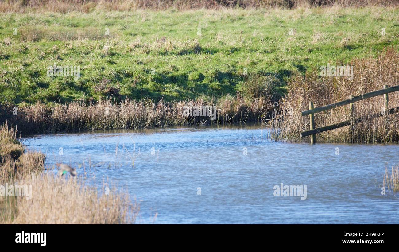 Green grass bank seen at the edge of farmland and a large water pool ...