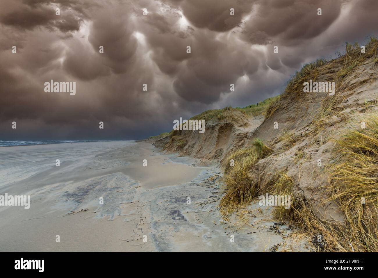 Coastal landscape after a heavy storm with severe damage to the dune ...