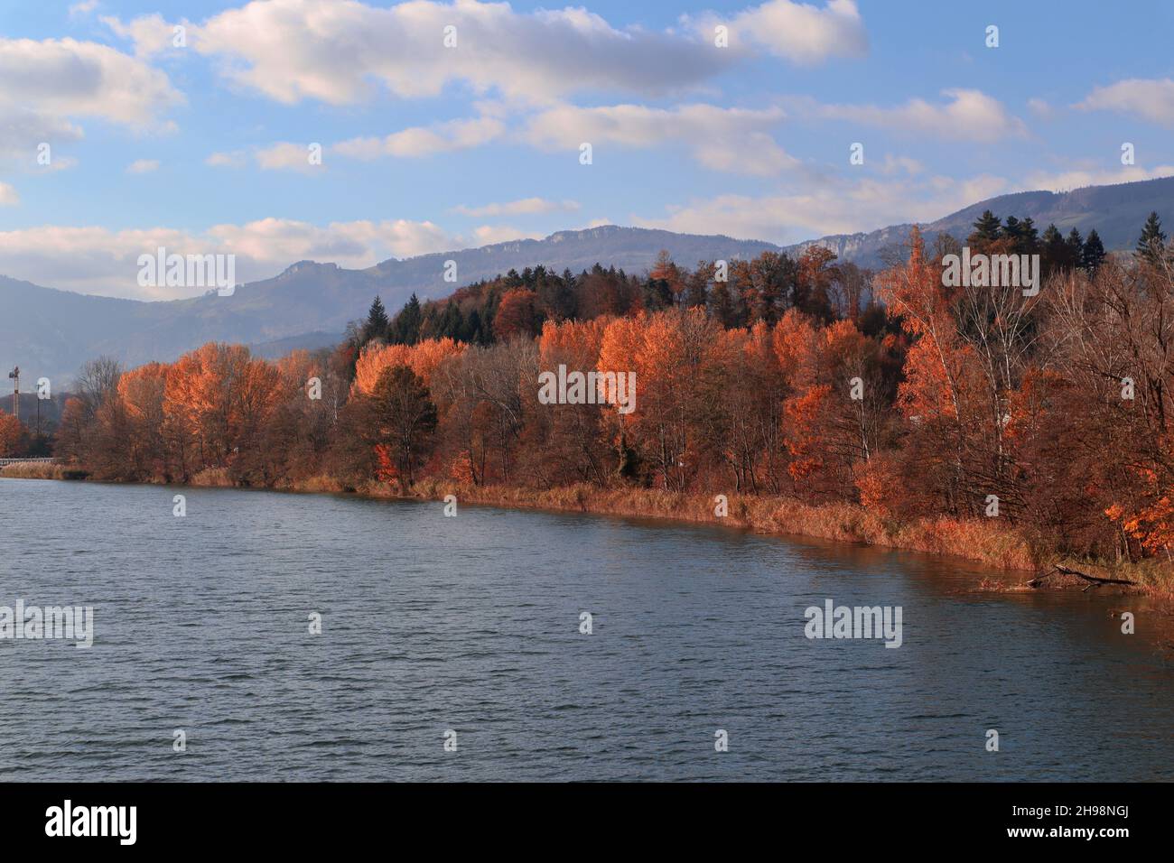 View to the Aare river and the forest in autumn Stock Photo - Alamy