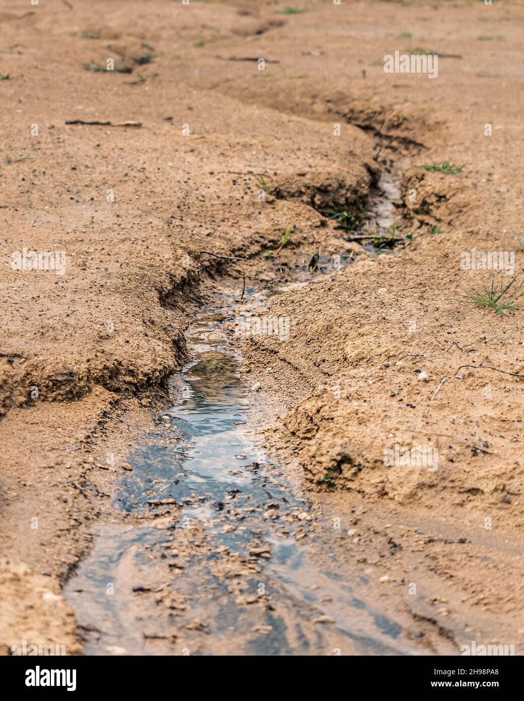 Small creek through the dirty ground Stock Photo - Alamy