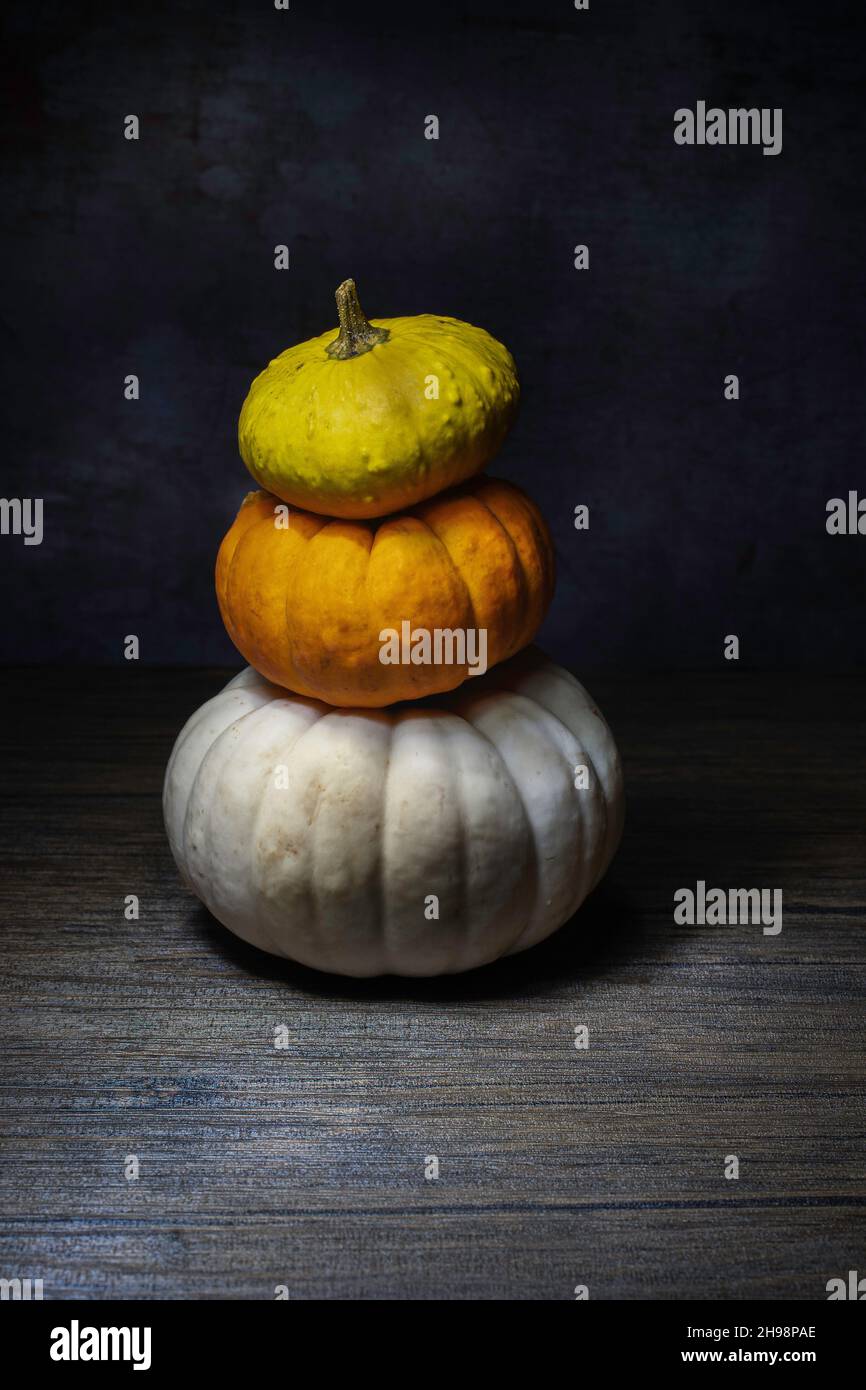 Munchkins hi-res stock photography and images - Alamy