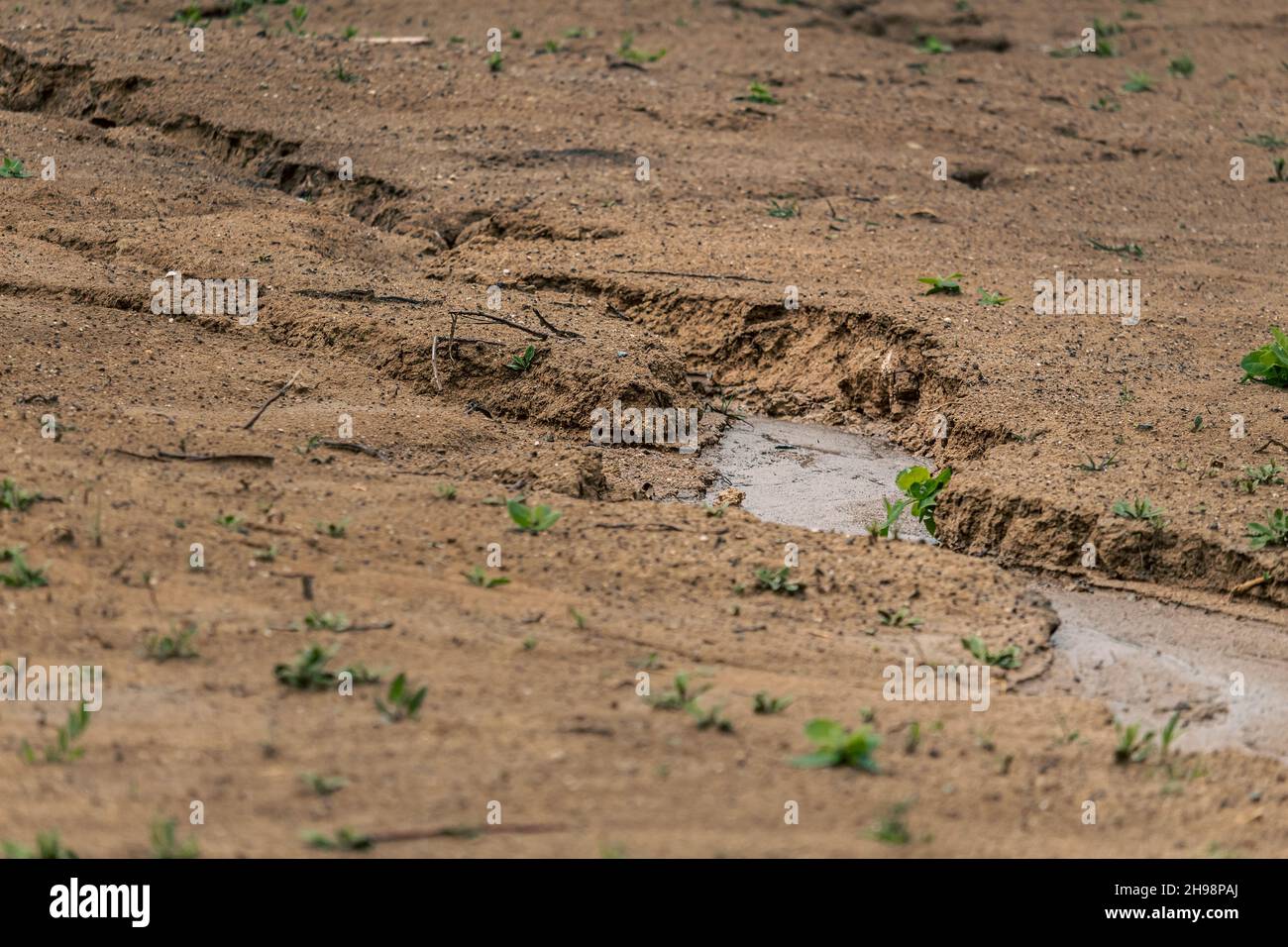 Small creek through the dirty ground Stock Photo - Alamy