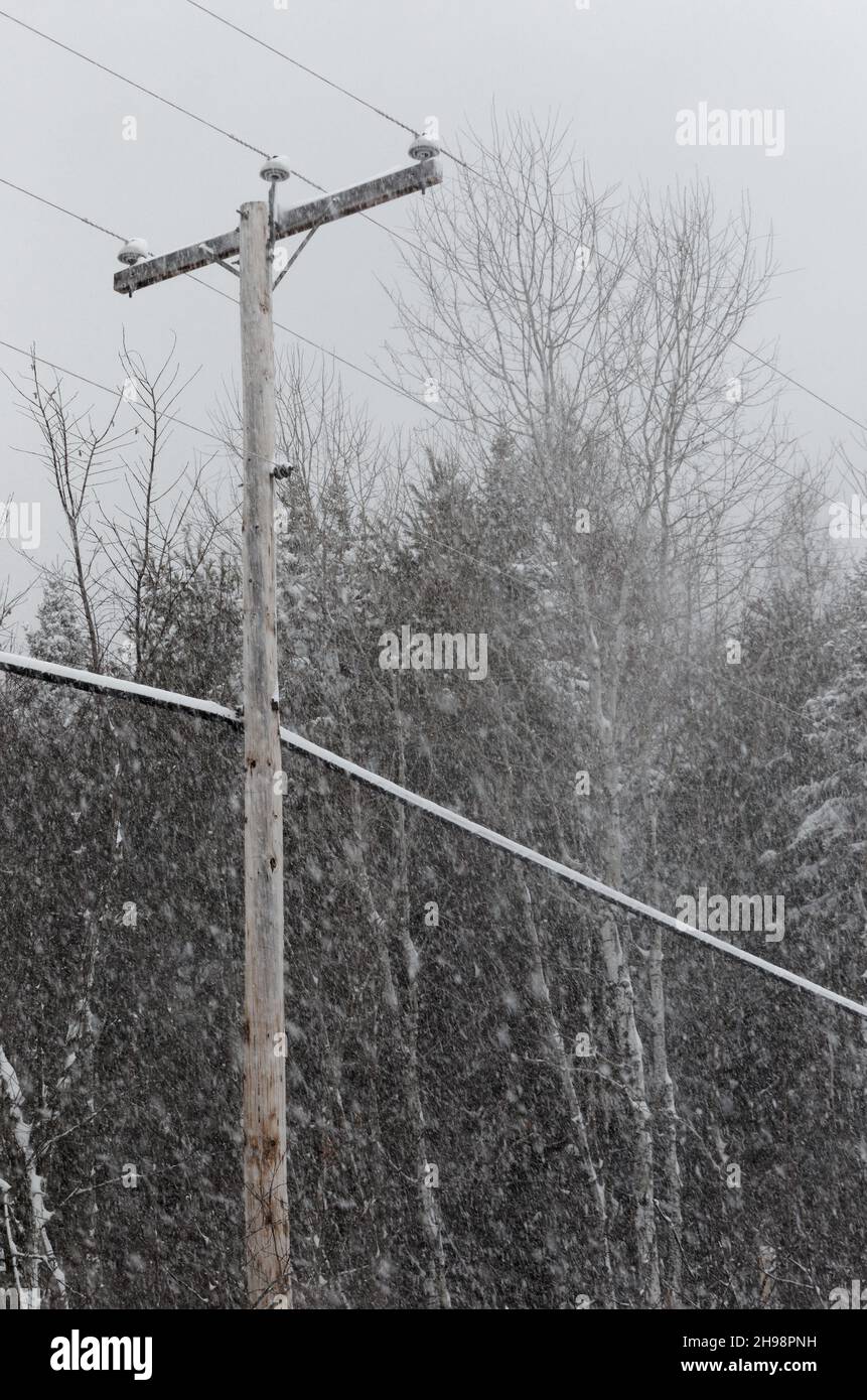Snow falling on a wooden utility pole. Quebec,Canada Stock Photo - Alamy