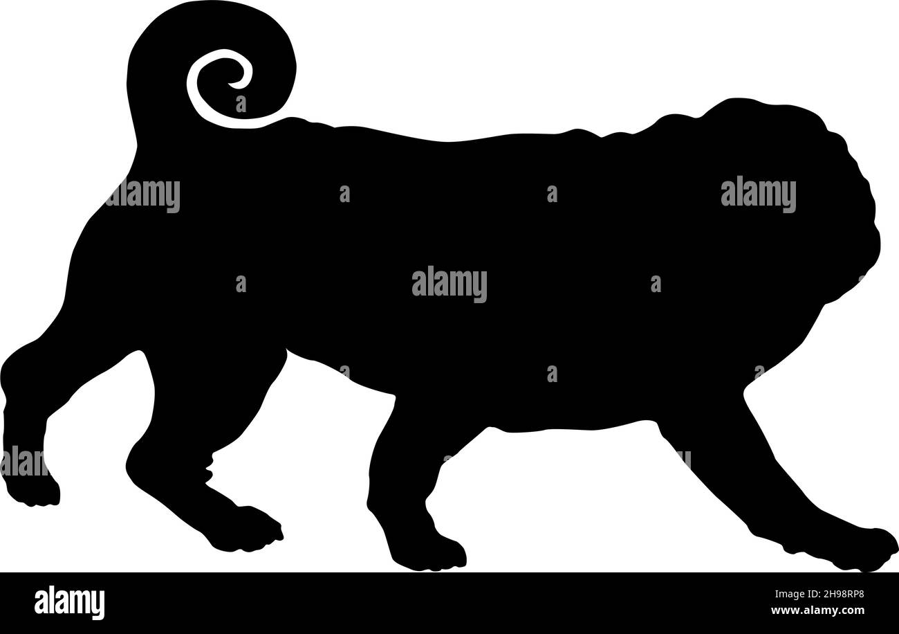 Black dog silhouette. Running chinese pug puppy. Dutch bulldog or mini ...