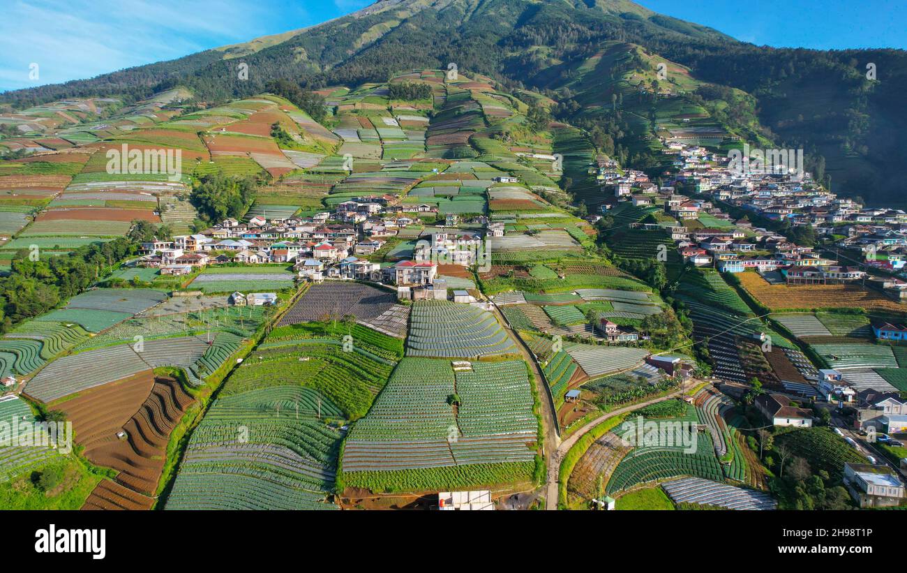 Aerial view of the Nepal van java is a Rural tour on the slopes of mount sumbing, The beauty of ...