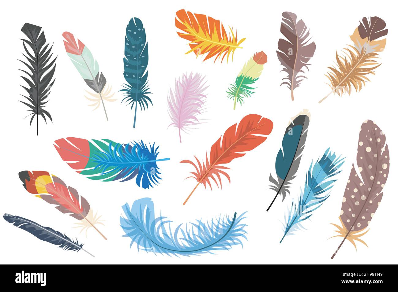 Bird Feather Clipart