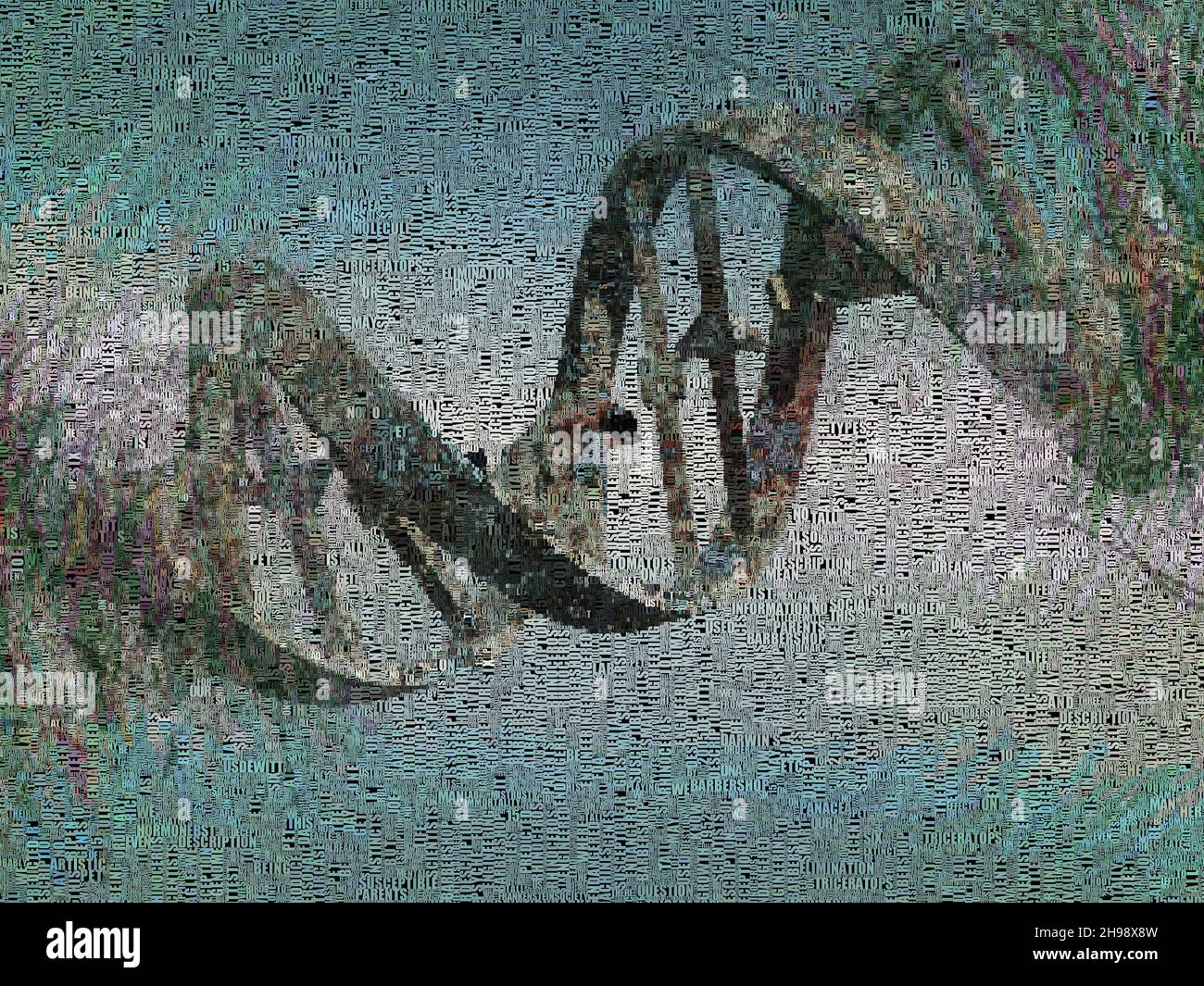 DNA chain code. Image composed of words. 3D rendering Stock Photo - Alamy