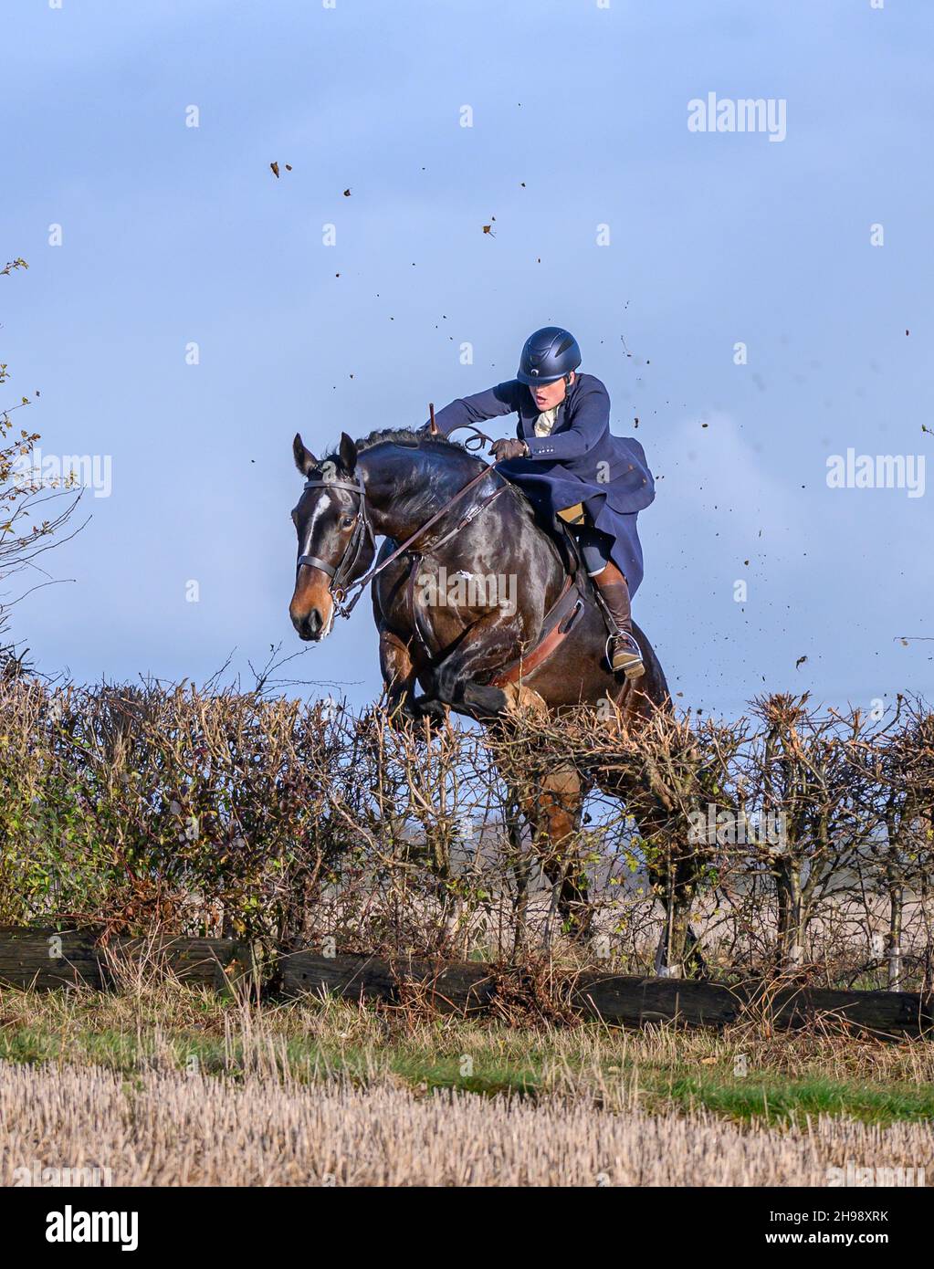 Side saddle hi-res stock photography and images - Alamy