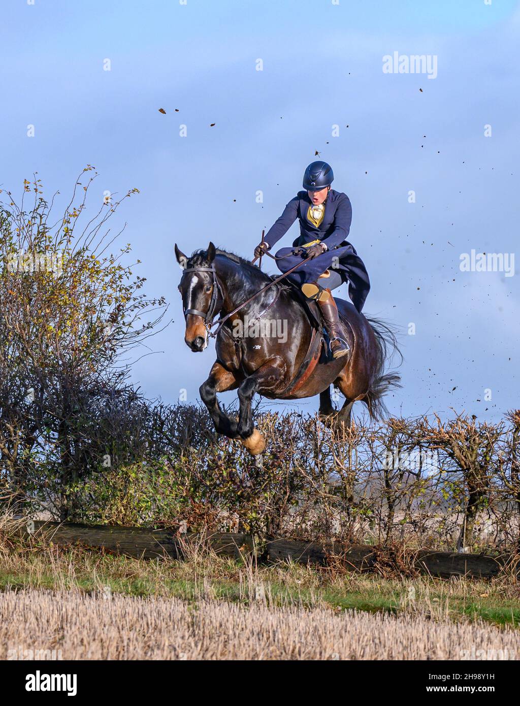 Side saddle hi-res stock photography and images - Alamy
