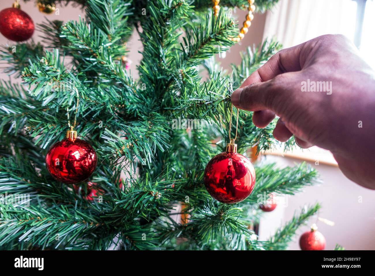 Crop shot of Adult Asian Male hand decorating a Christmas tree with ...