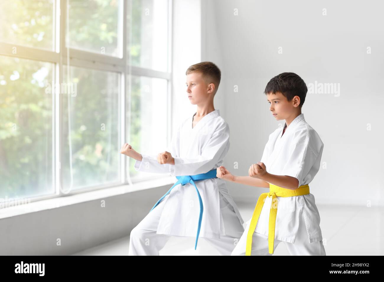 Little boys practicing karate in gym Stock Photo - Alamy