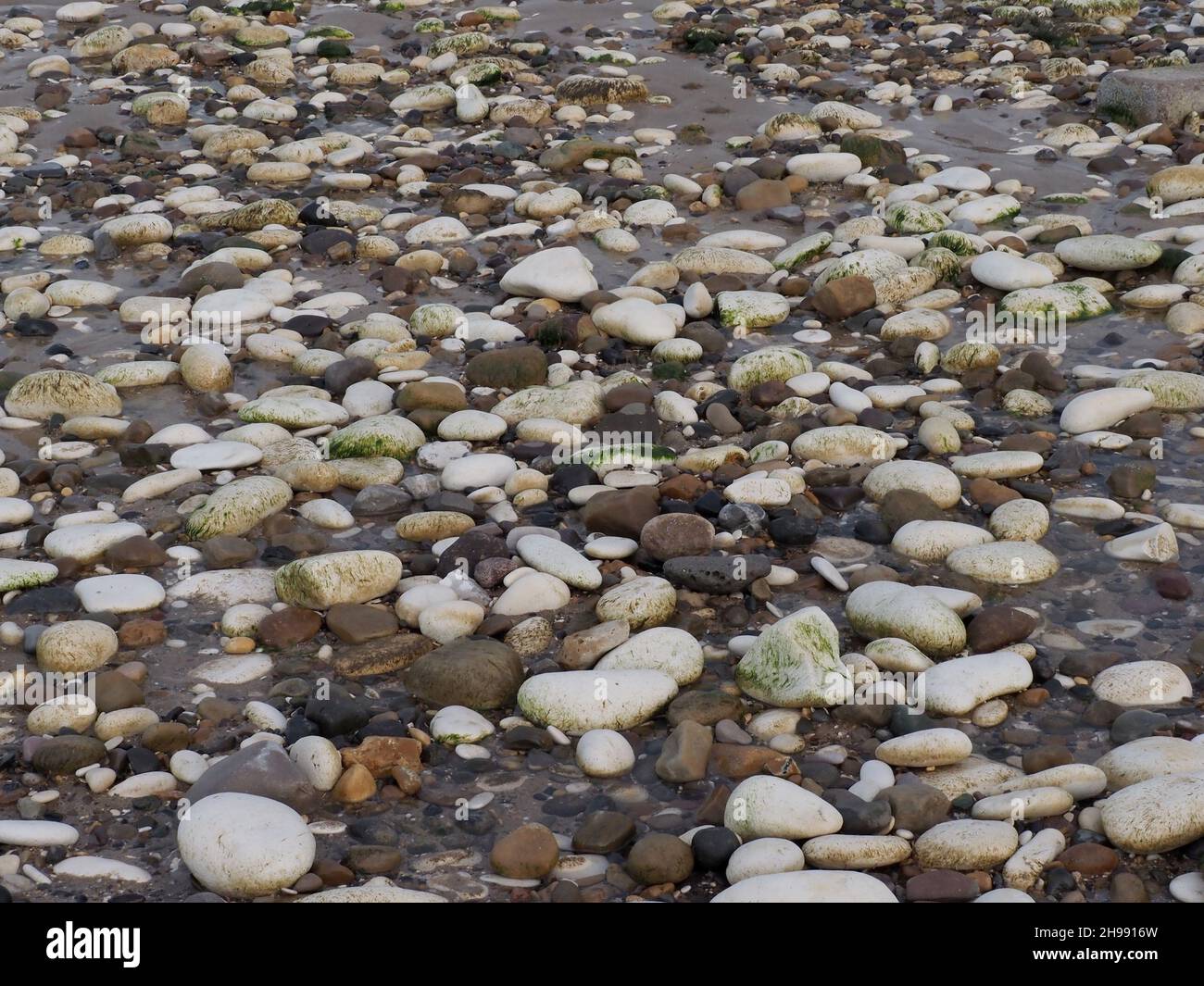 Pebbles pebbles hi-res stock photography and images - Alamy