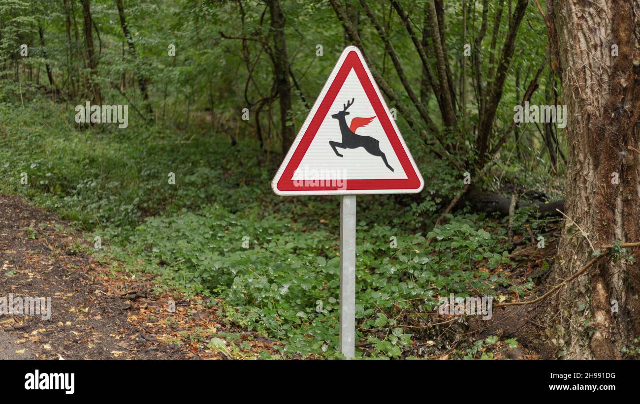 A road sign in France by the side of the road in woodland French road ...