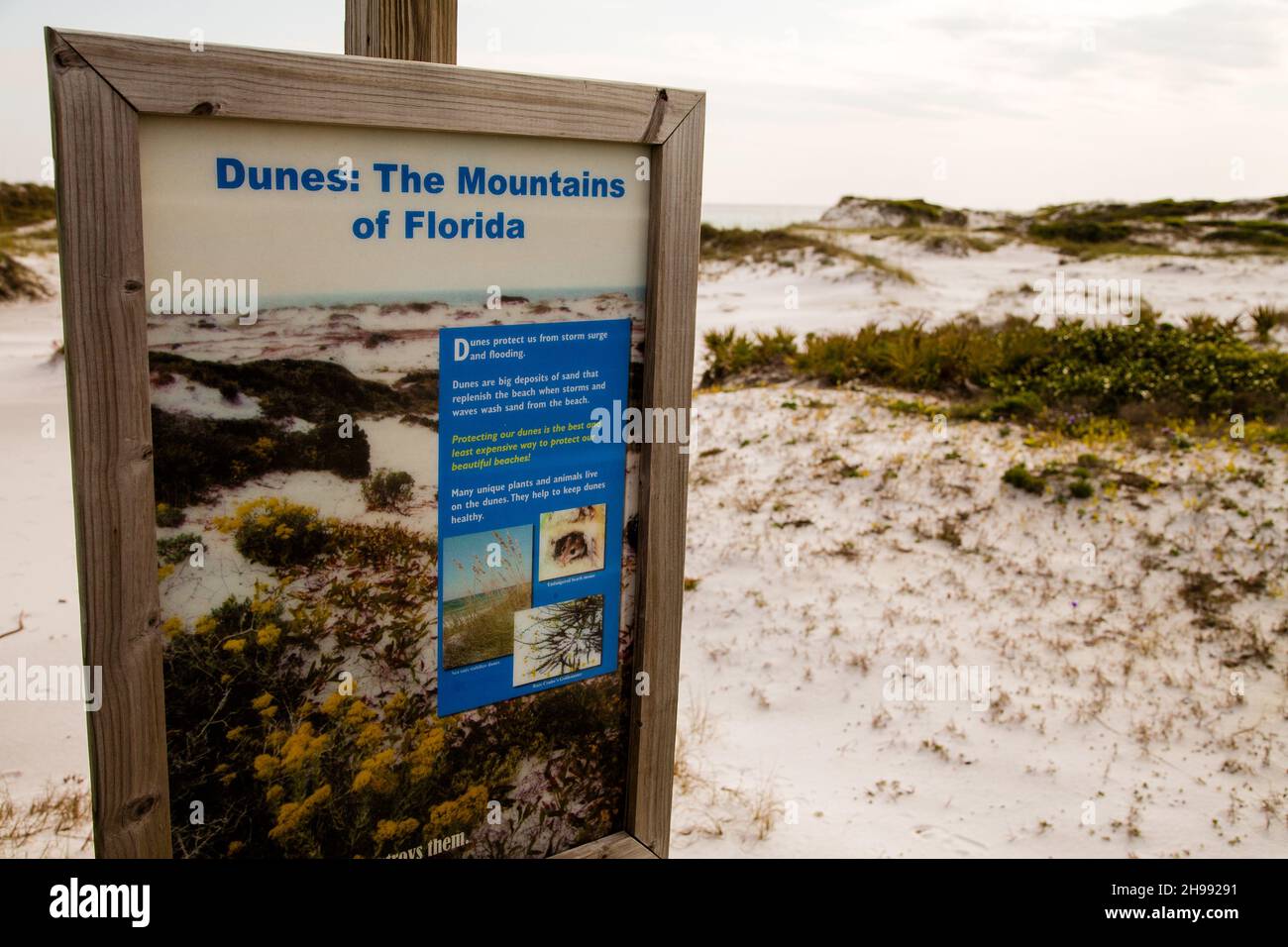Dunes restoration sign hi-res stock photography and images - Alamy