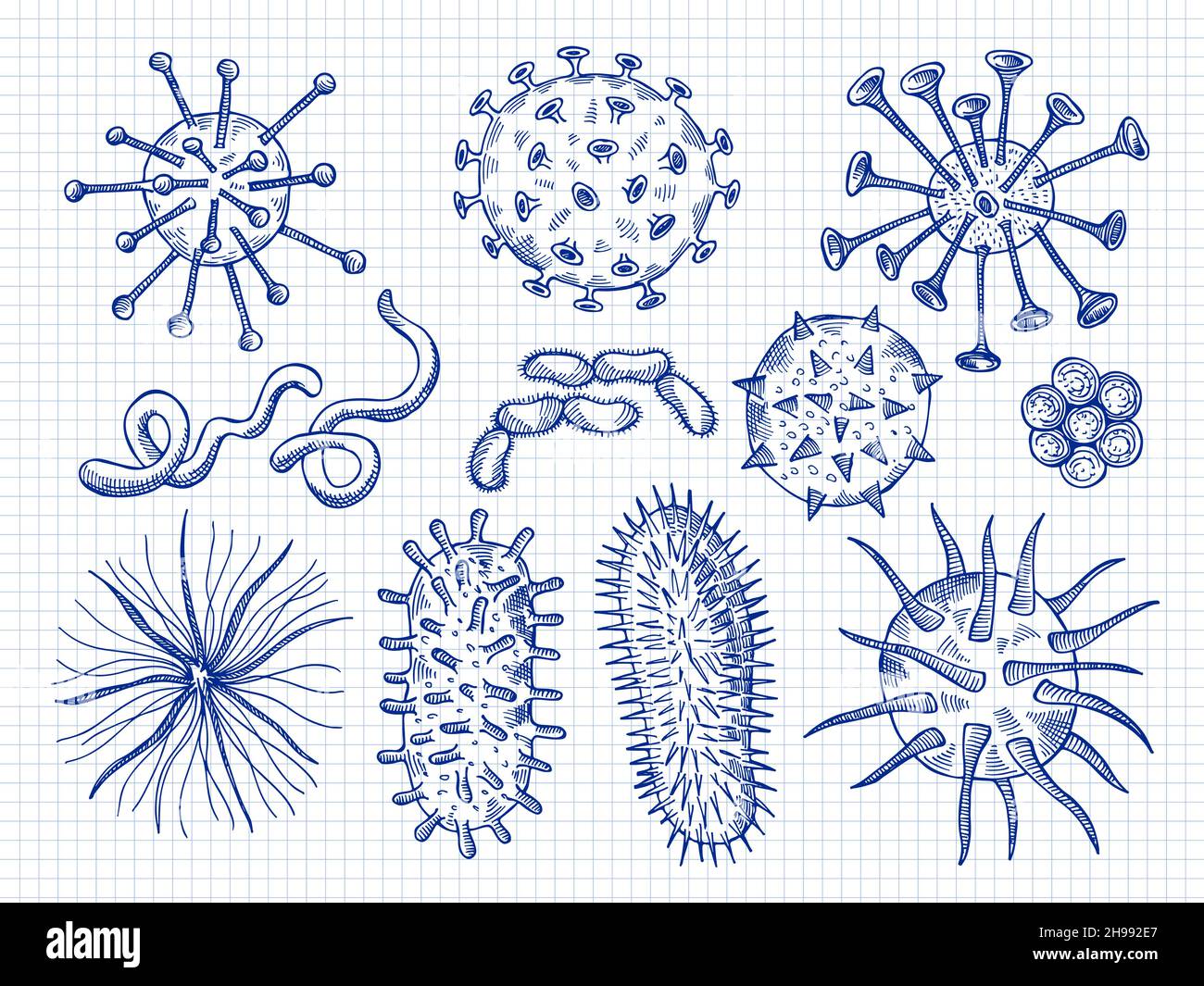 Sketch viruses. Covid bacteria microbiology cell danger biological ...