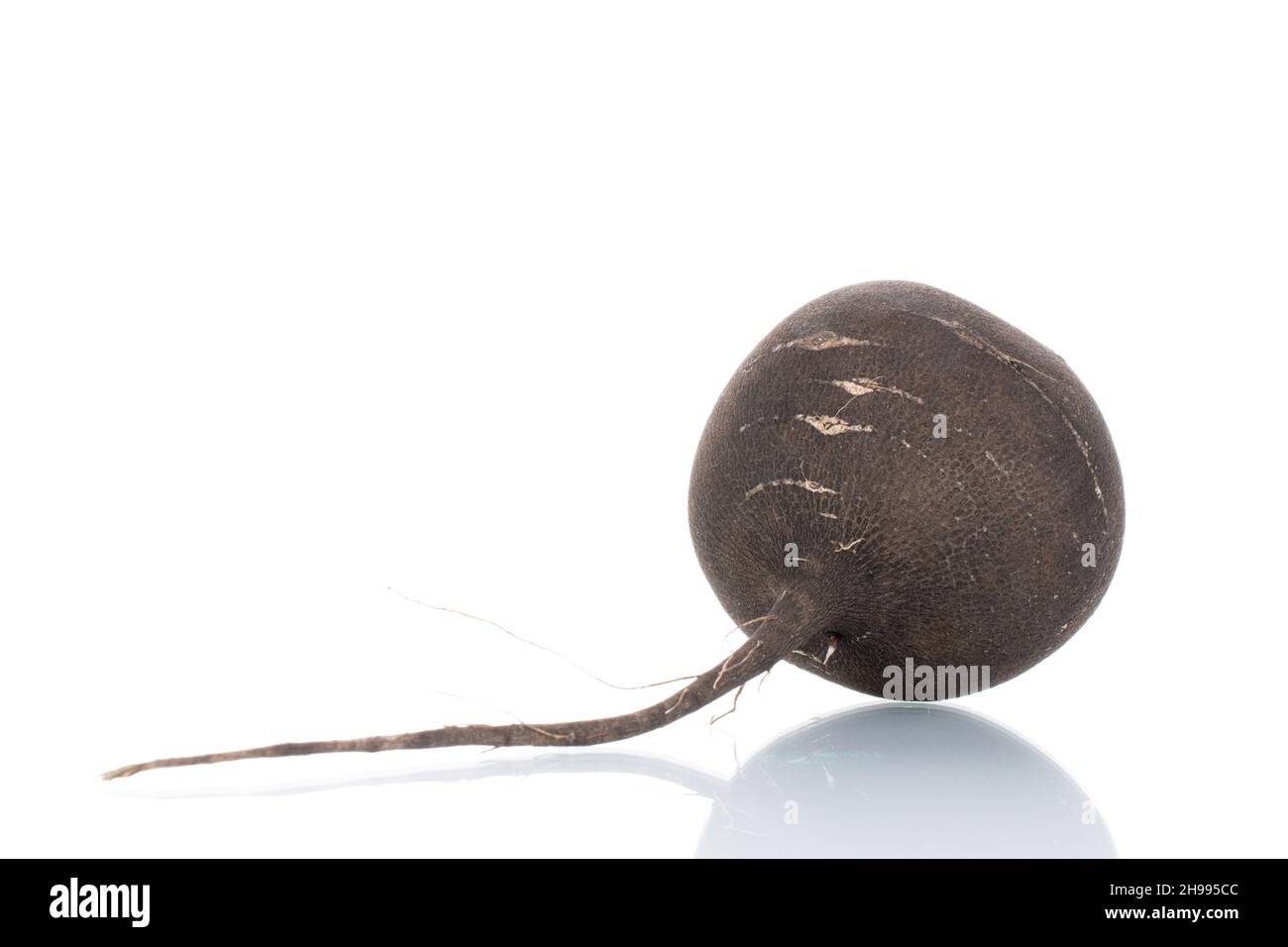 Root black and white Cut Out Stock Images & Pictures - Alamy