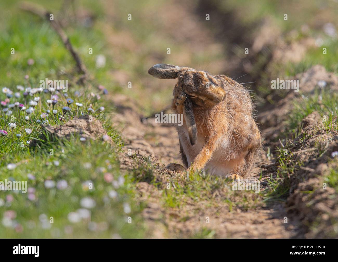 Washing tractor england hi-res stock photography and images - Alamy