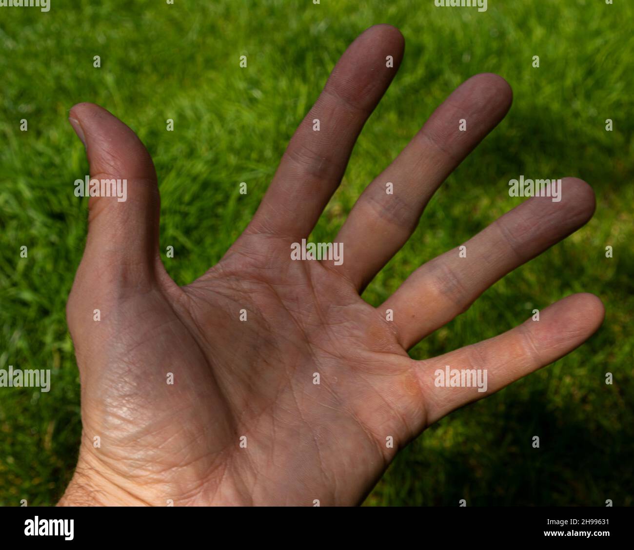 Male touching fresh spring grass hi-res stock photography and images ...