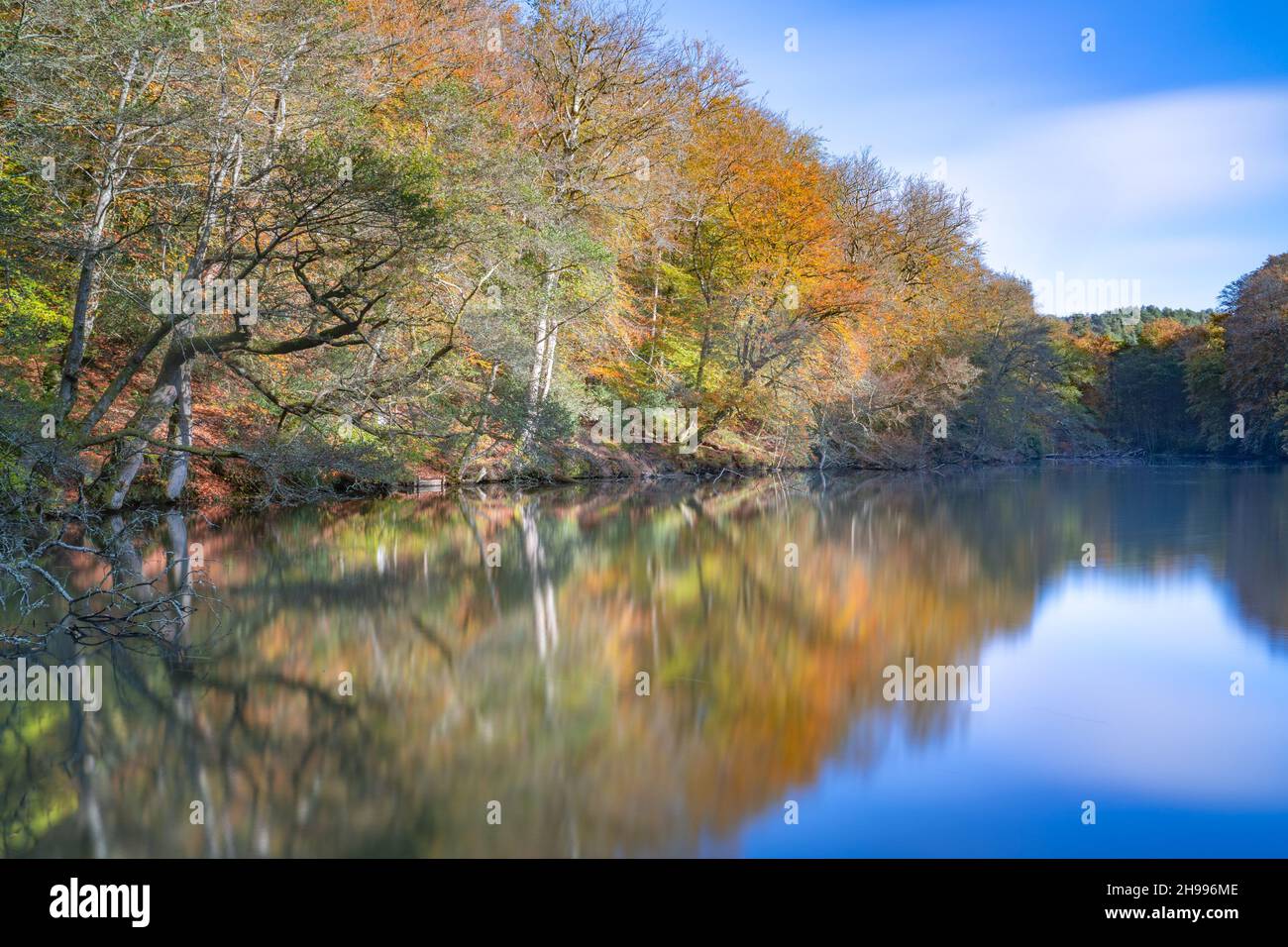 Reflective autumnal moments at Waggoners Wells near Grayshott and ...