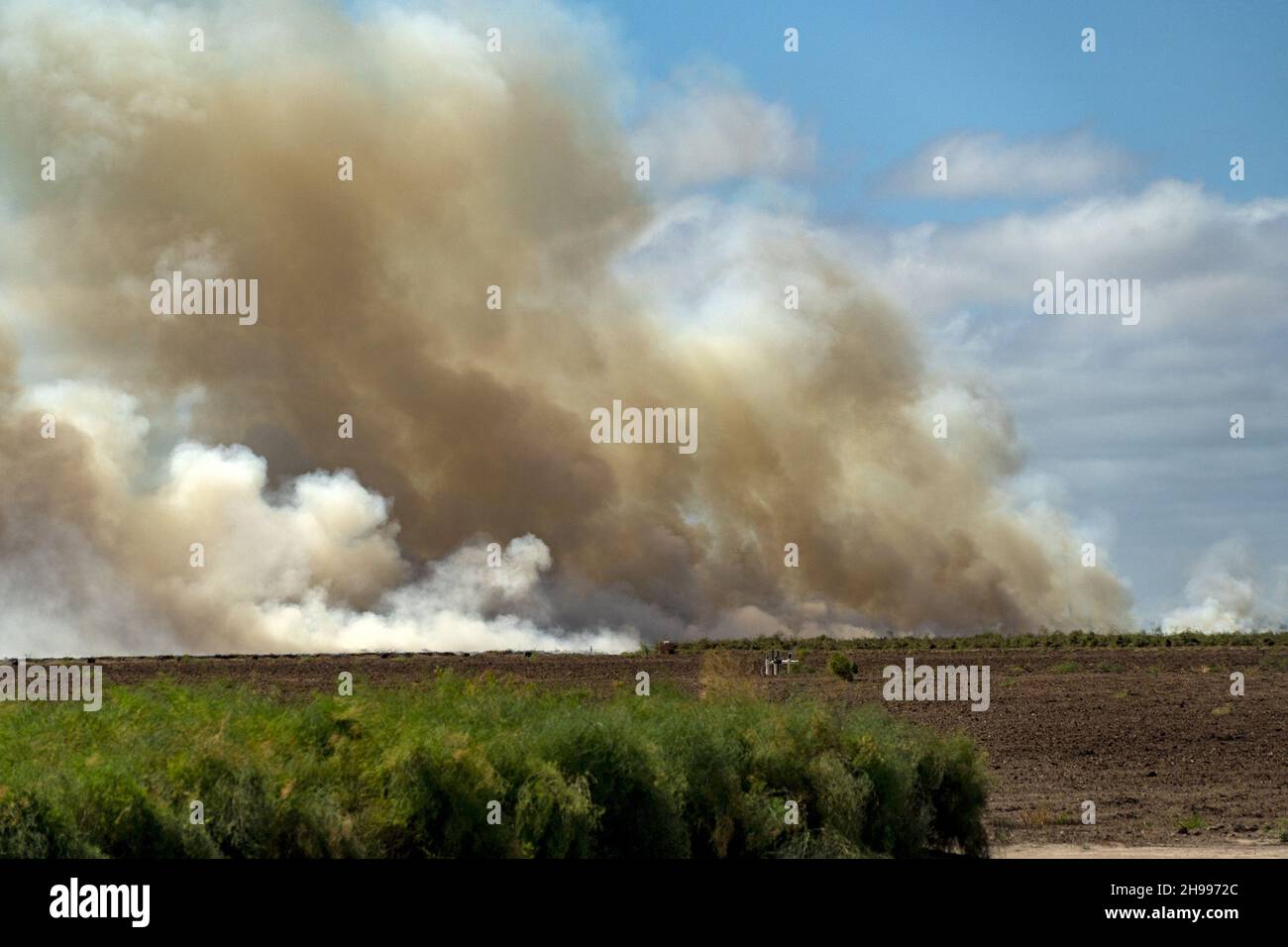 Big fire in Baja california sur mexico field Stock Photo - Alamy