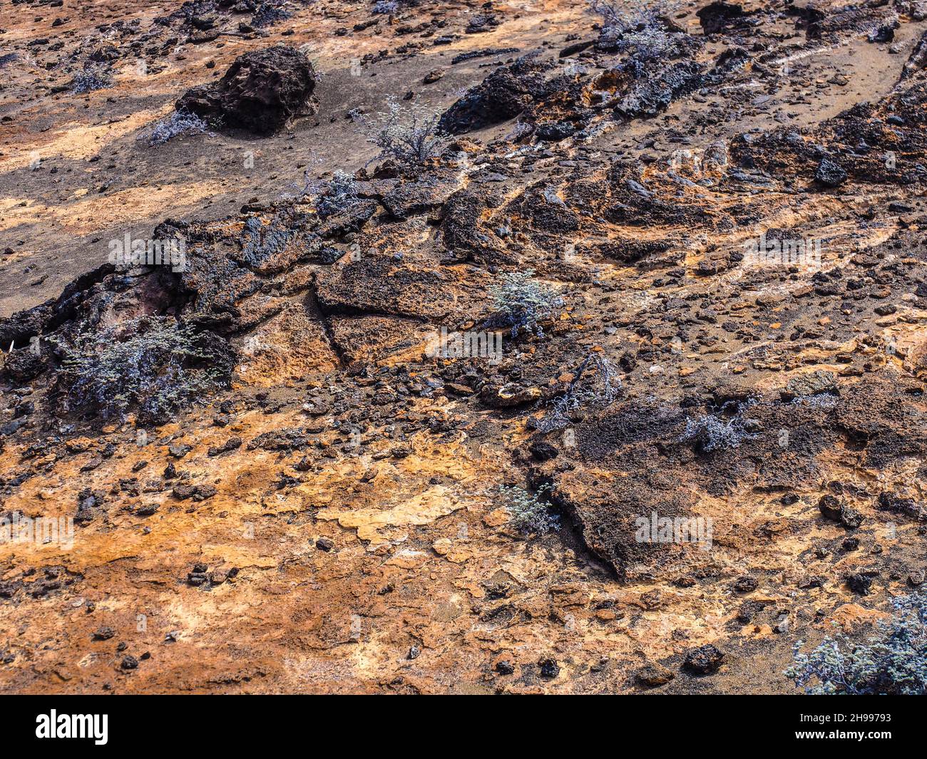 Lava rocks. lava pattern on Galapagos islands Stock Photo - Alamy
