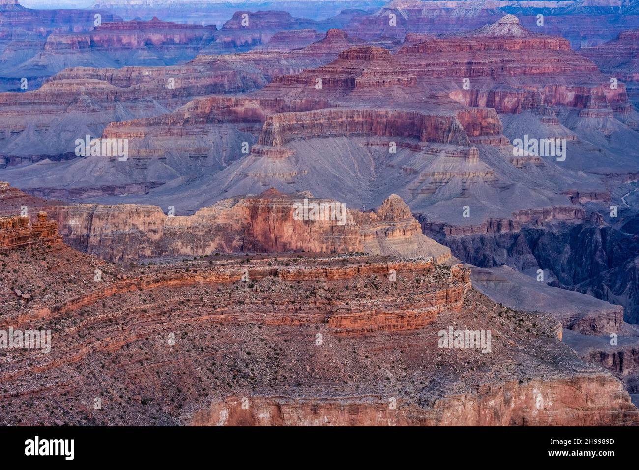Colorado river inside grand hi-res stock photography and images - Alamy