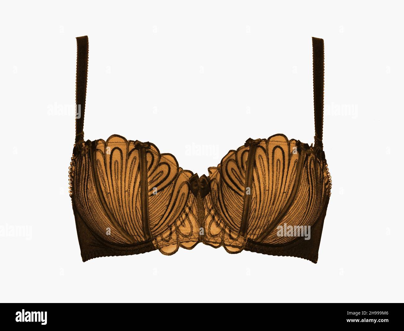 Women's fashion lace bra body color push up on a white background Stock ...