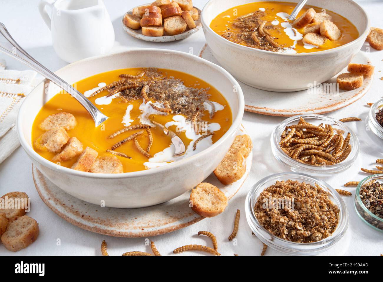 Close-up of edible insects in pumpkin soup, mealworms Stock Photo - Alamy
