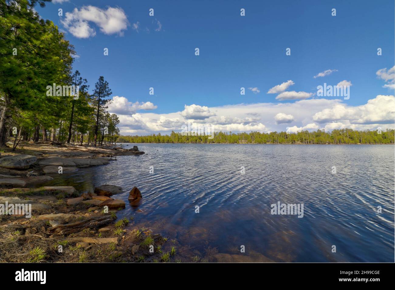 The lakeshore with shallow water during the daytime Stock Photo - Alamy