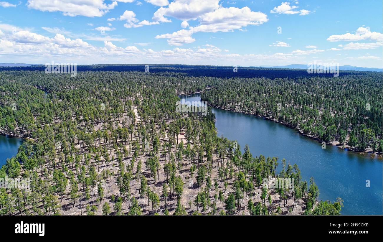 An aerial view of the Kaibab National Forest in Tusayan, USA Stock ...