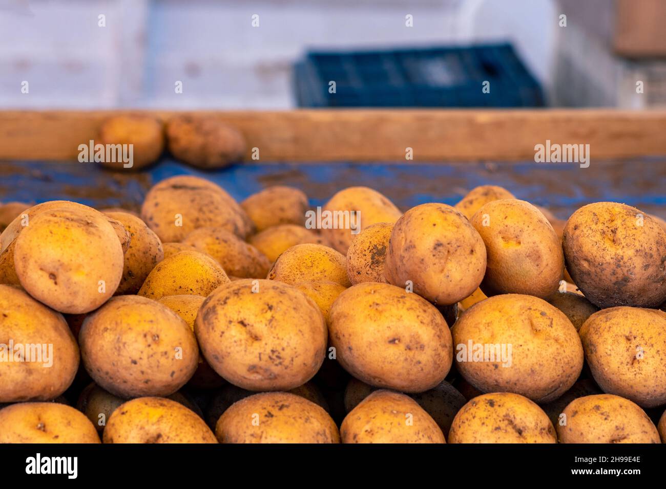 Tent and shop counter hi-res stock photography and images - Alamy