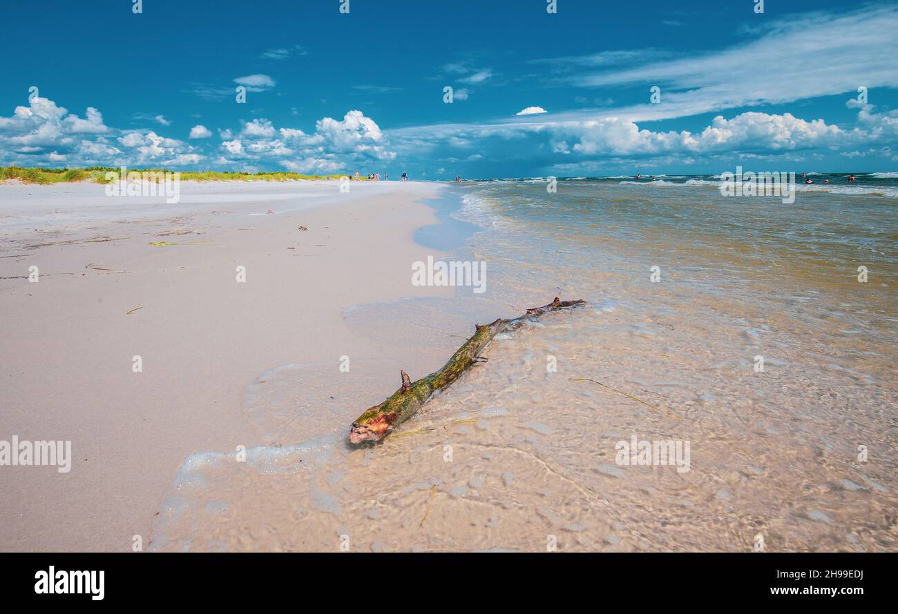 Dueodde, the white sandy beach on the south coast of Bornholm, Denmark ...