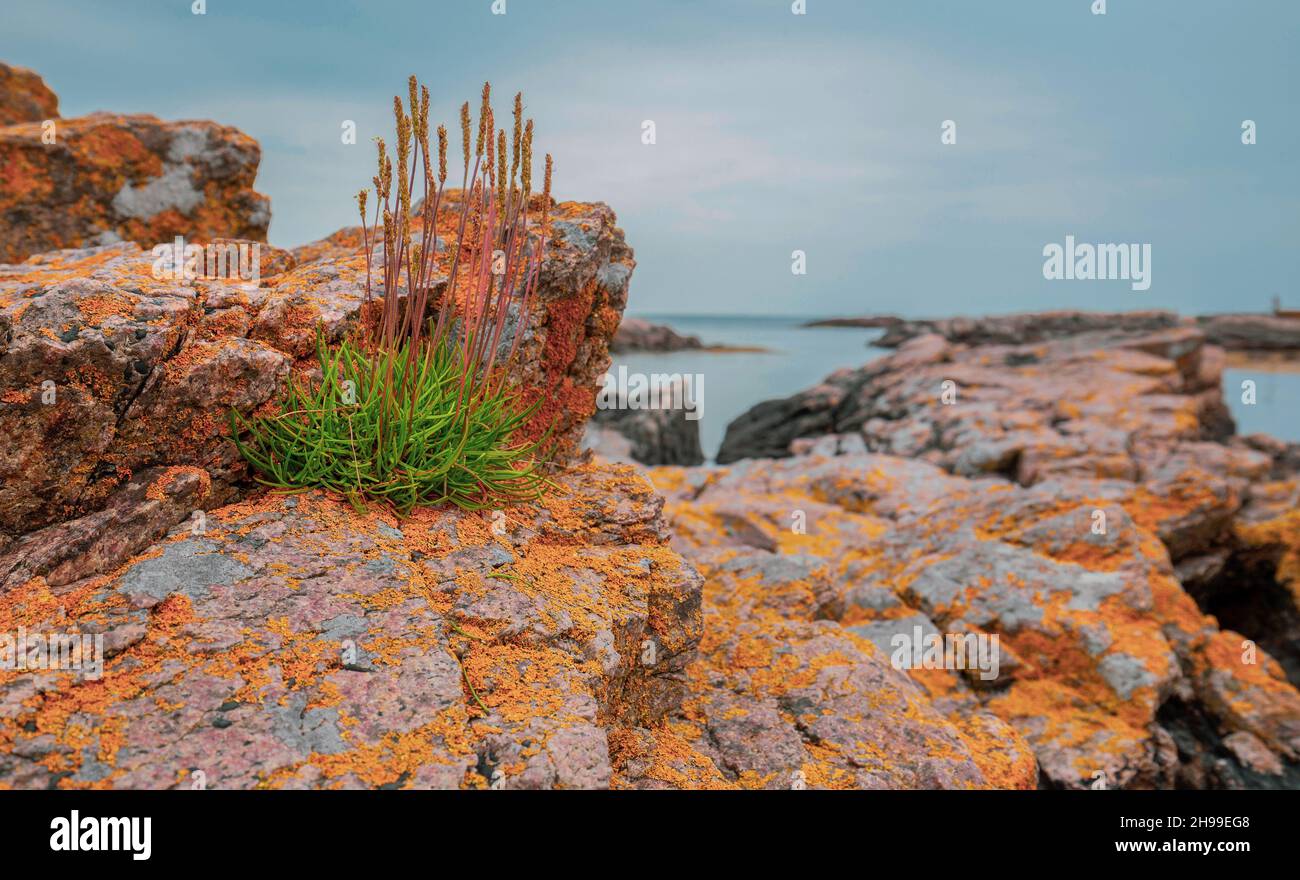 Panoroma hi-res stock photography and images - Alamy