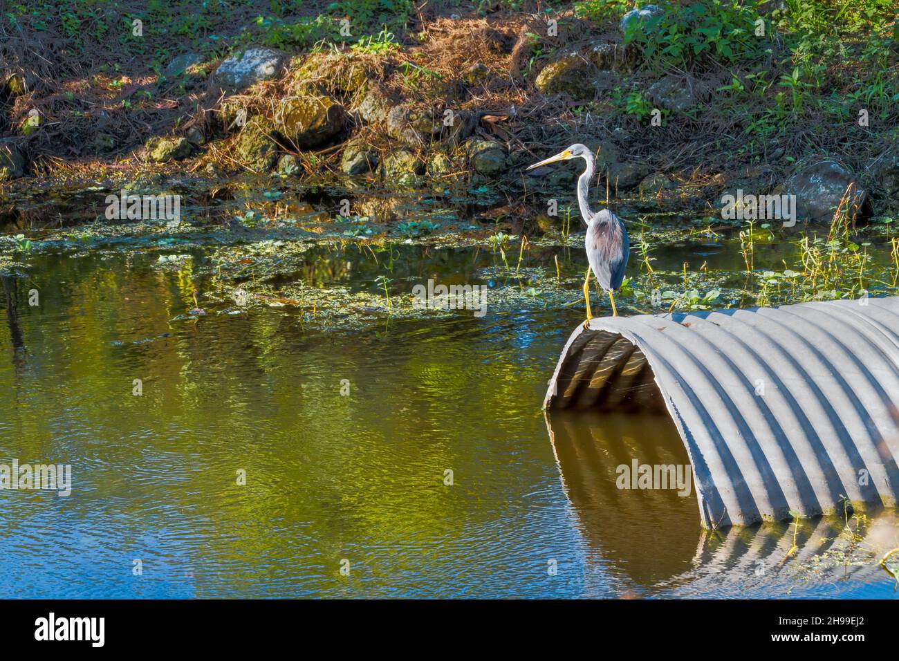 The great conduit hi-res stock photography and images - Alamy