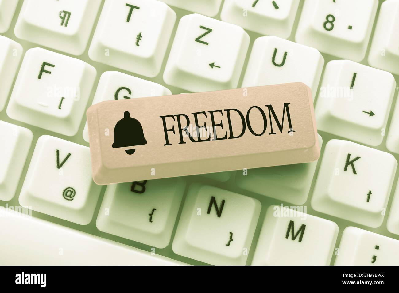 Text showing inspiration Freedom. Internet Concept liberty rather than ...