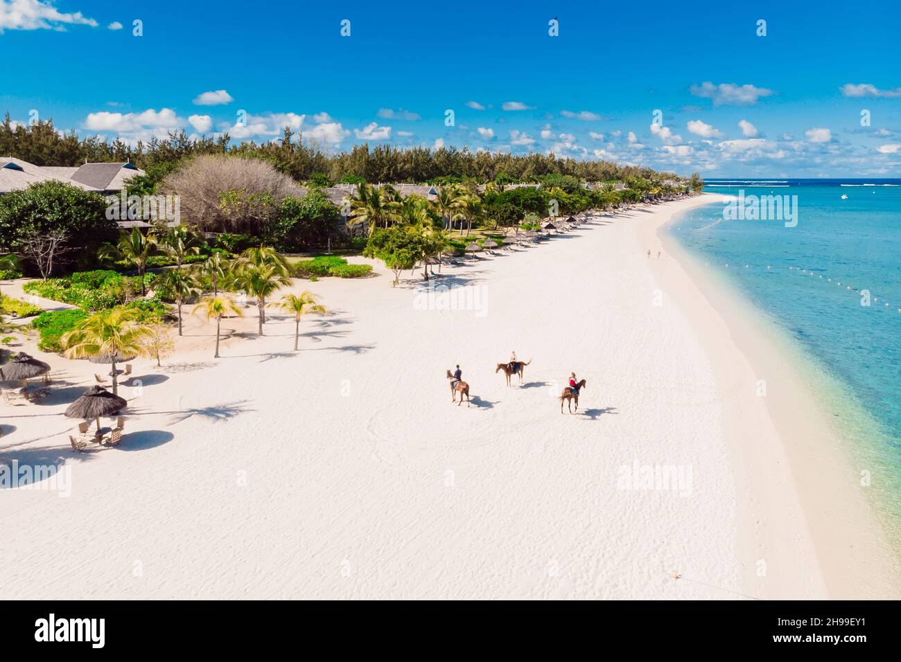 Luxury tropical beach in Mauritius. Beach with palms and transparent ...