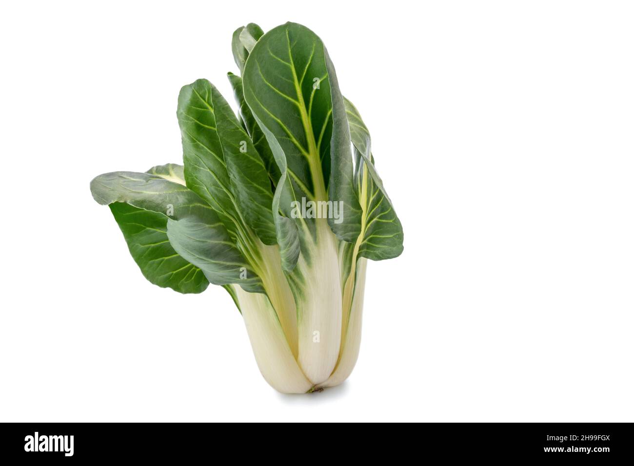 fresh swiss chard isolated on white background Stock Photo - Alamy