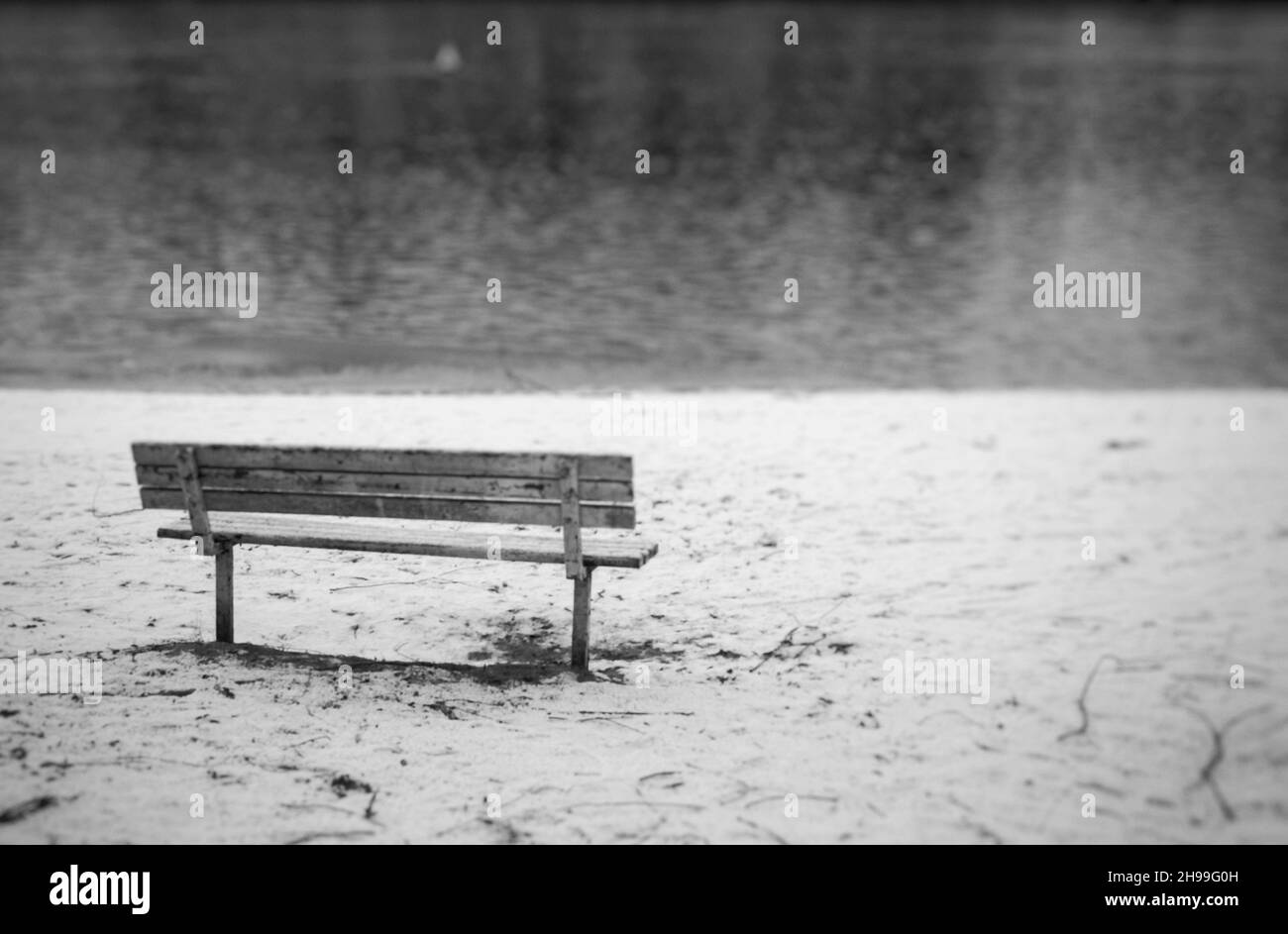 Lonely bench on the winter beach Stock Photo - Alamy