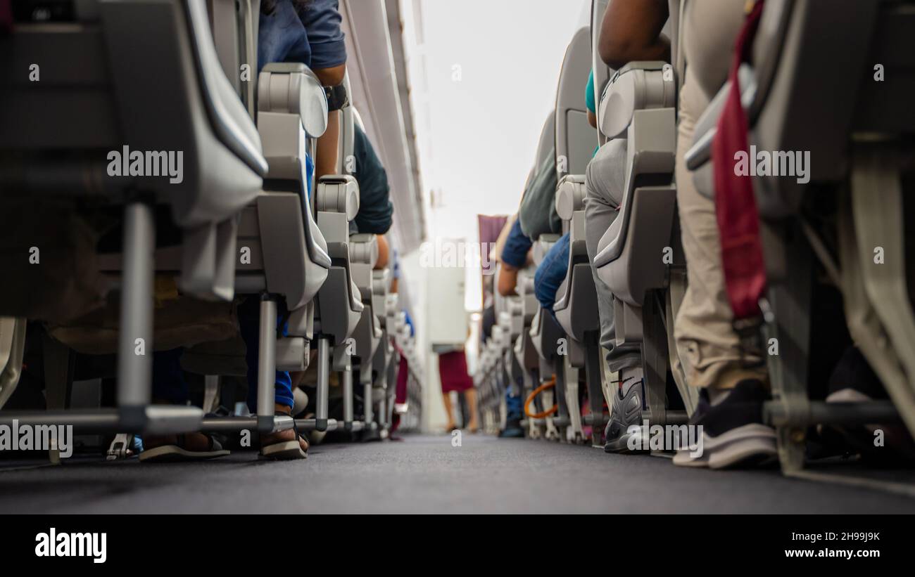 passenger seat, Interior of airplane with passengers sitting on seats ...