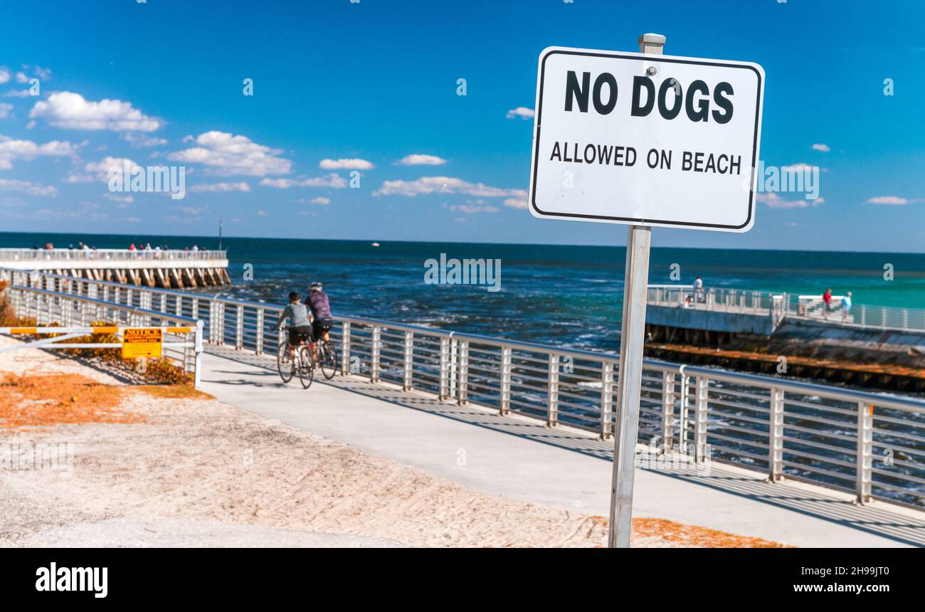 No Dogs Allowed On Beach signal Stock Photo - Alamy
