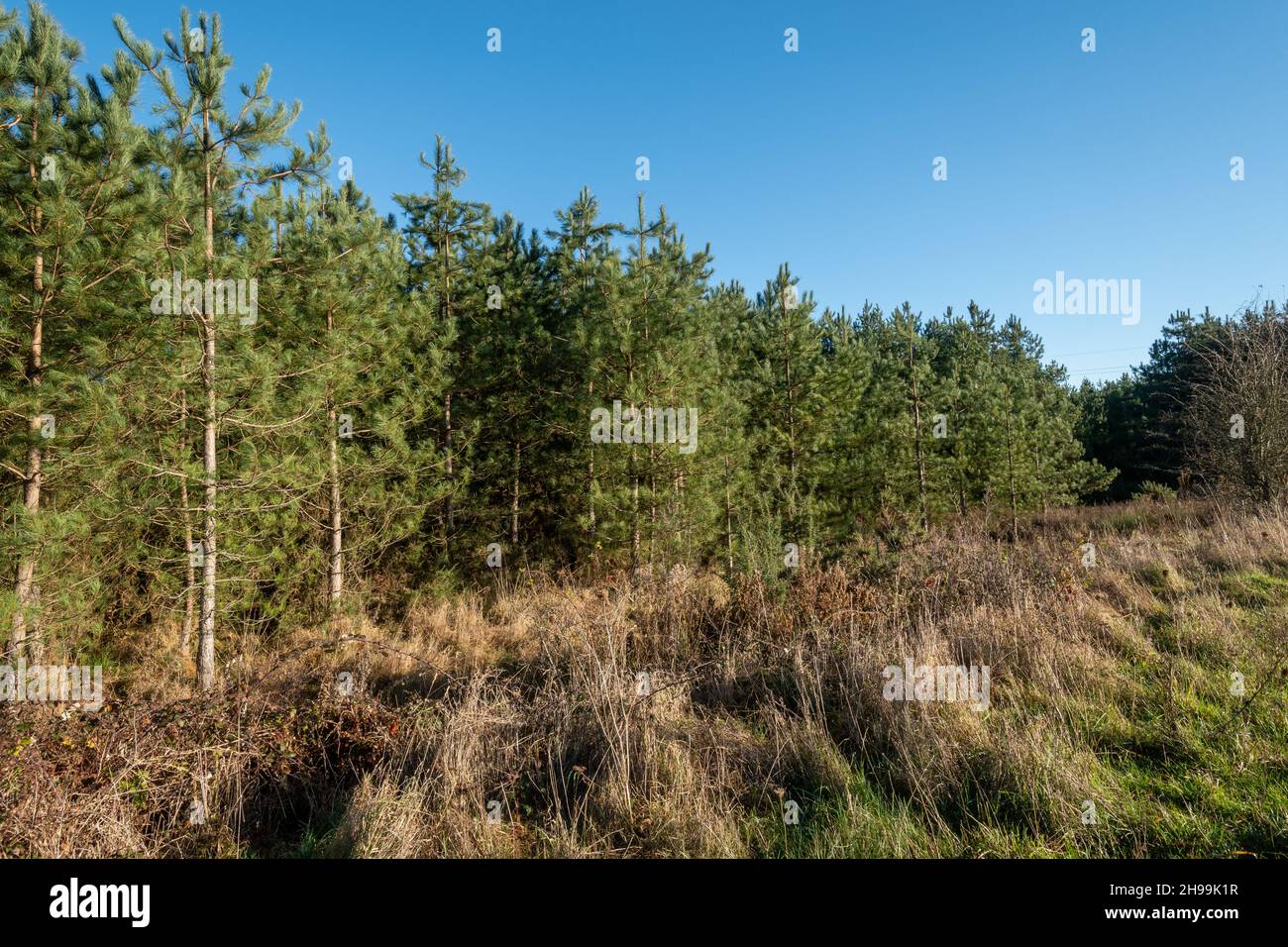 Hampshire berkshire border hi-res stock photography and images - Alamy