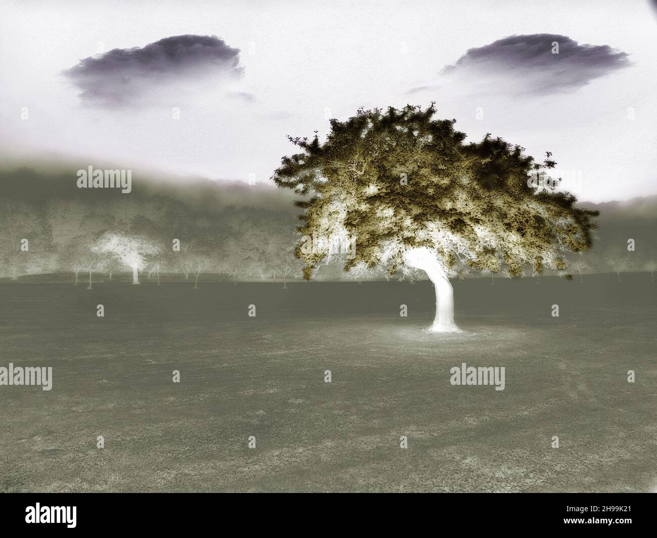 Lonely tree in surreal field. 3D rendering Stock Photo - Alamy