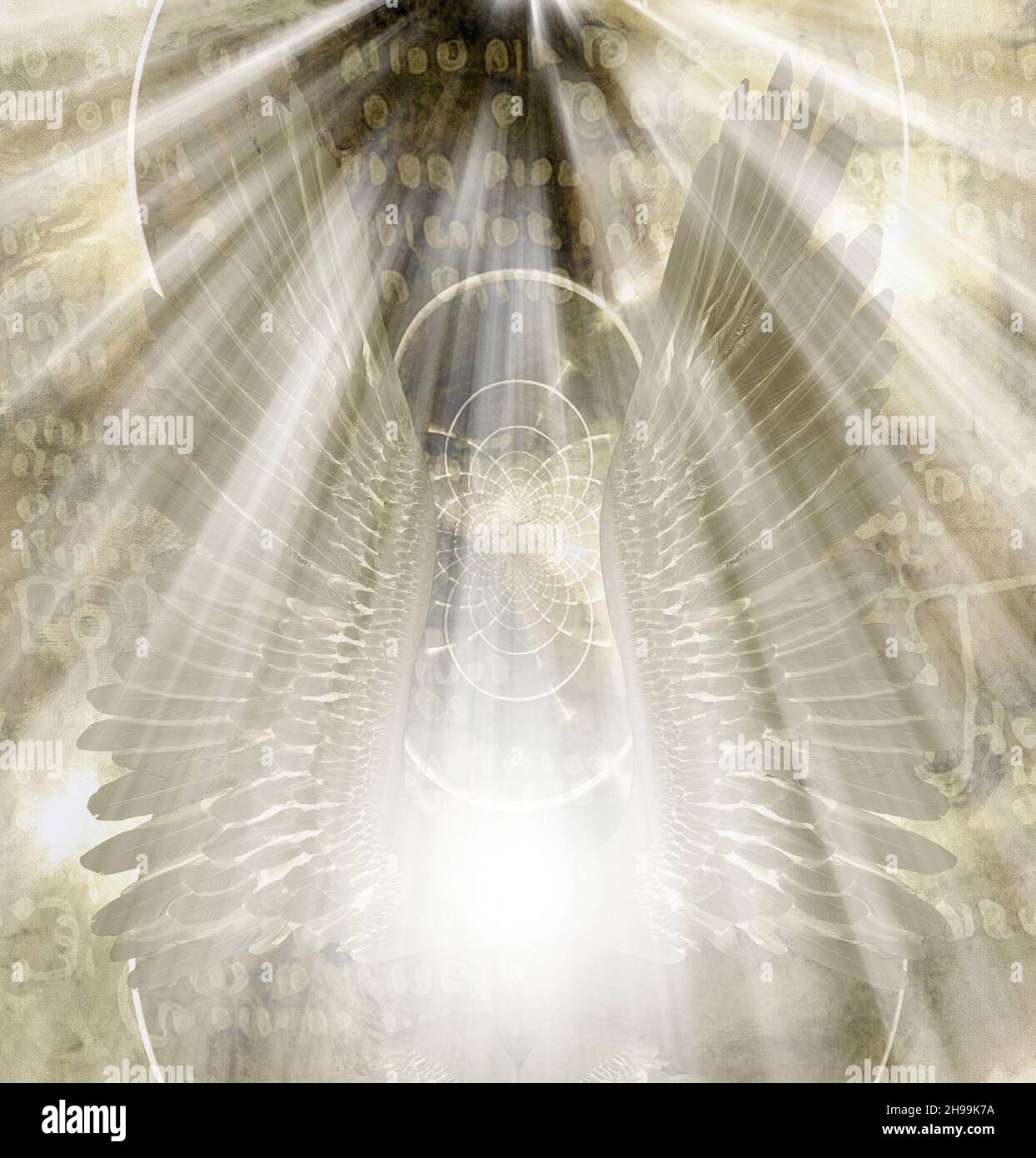 Fractal Angel Wings High Resolution Stock Photography and Images - Alamy